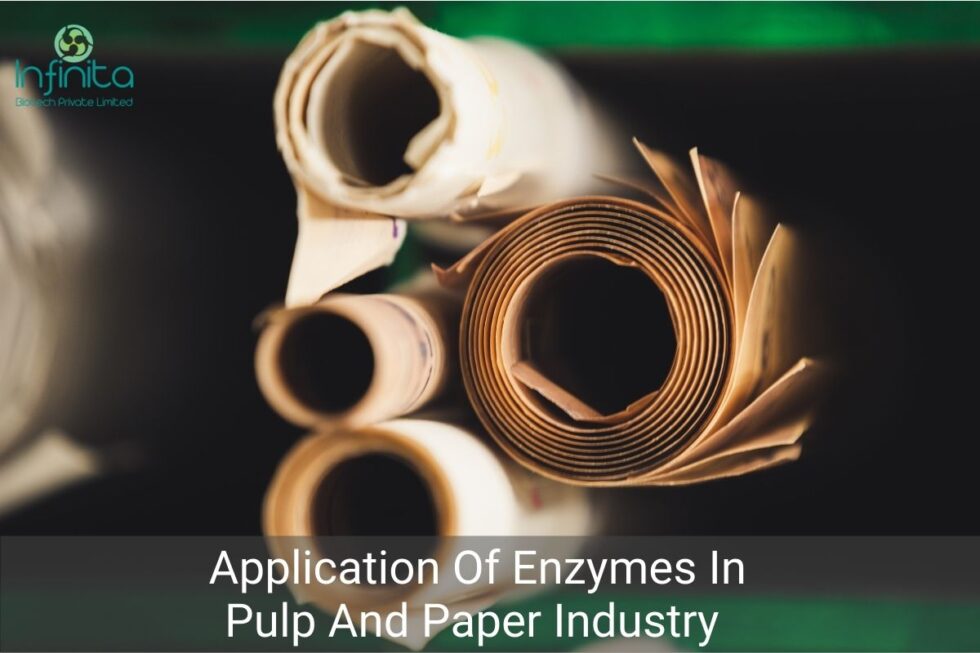 Application Of Enzymes In Pulp And Paper Industry
