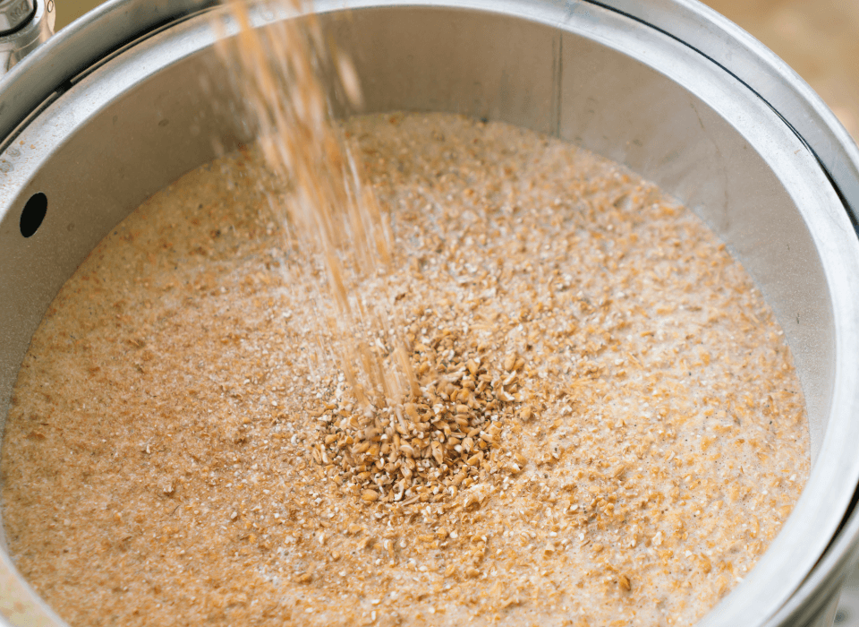 Enzymes For Malt - Infinita Biotech