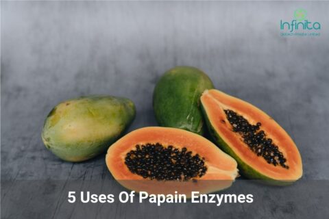 5 Uses Of Papain Enzymes You Never Knew | Infinita Biotech
