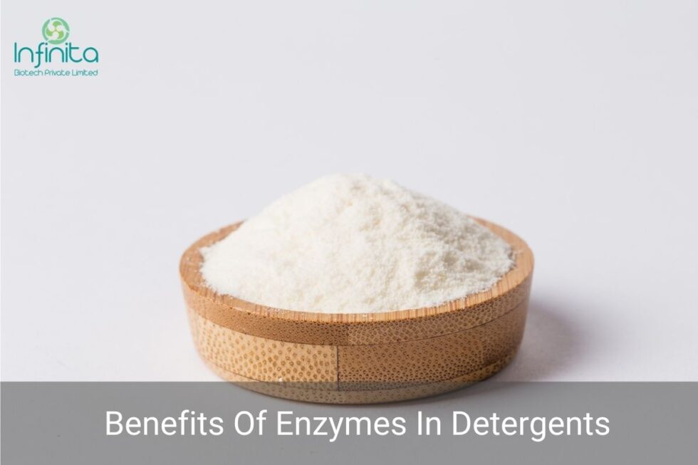 Benefits Of Enzymes In Detergents | Infinita Biotech