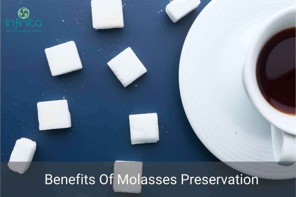 What Is Molasses Preservation? | Benefits Of Molasses Preservation
