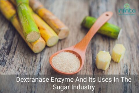 Top Uses Of Dextranase Enzymes In Sugar Industry