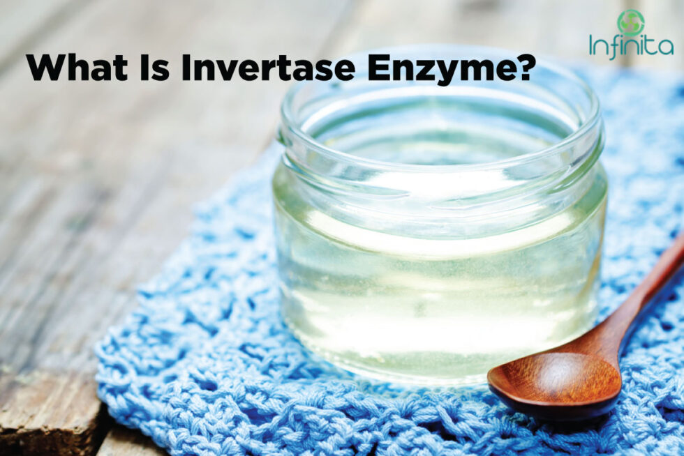 What Is Invertase Enzyme & How To Make Invertase Enzyme?
