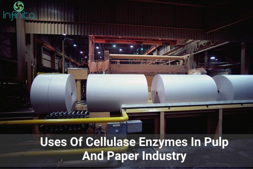 Uses Of Cellulase Enzyme In Paper And Pulp Industry | Infinita Biotech