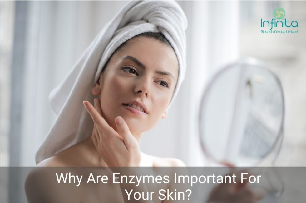 Importance Of Enzymes For Your Skin | Infinita Biotech