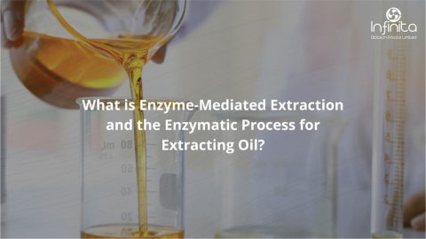 Enzyme Extraction | Purification and Production Of Enzymes