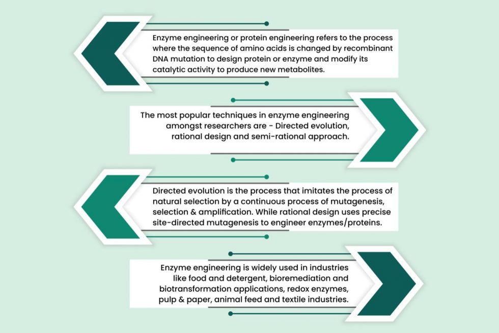 Enzyme Engineering And Its Application | Infinita Biotech