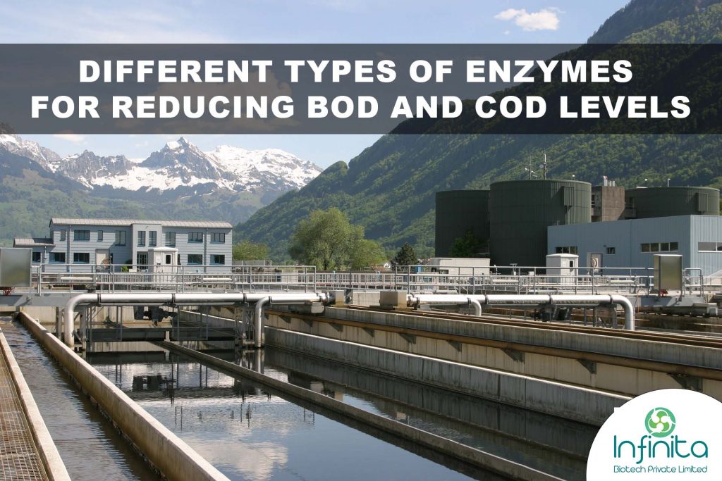 Different Types of Enzymes for Reducing BOD and COD Levels