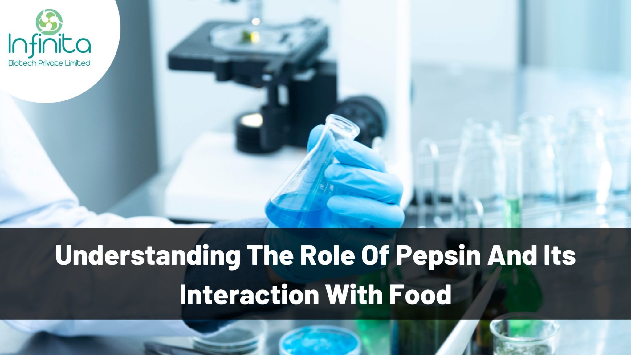 Pepsin: Its Role in Digestion Explained