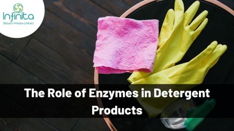 The Role of Enzymes in Detergent Products
