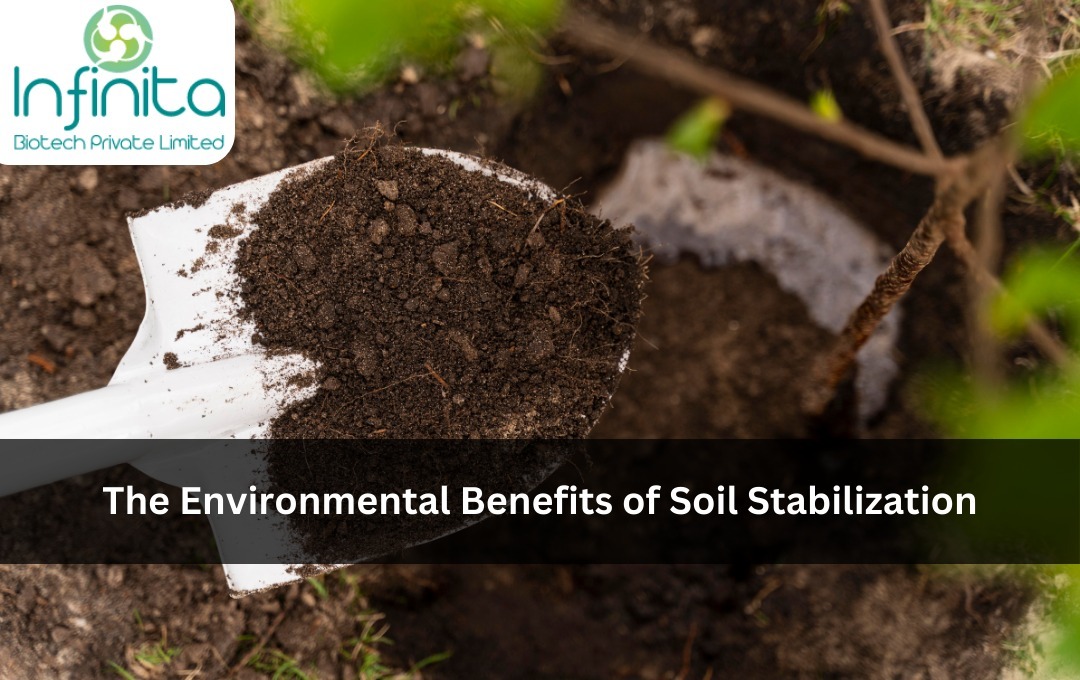 The Environmental Benefits of Soil Stabilization - Infinita Biotech