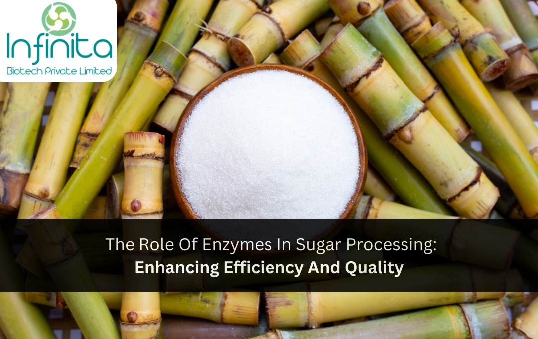 Enzymes in Sugar Processing: Efficiency & Quality