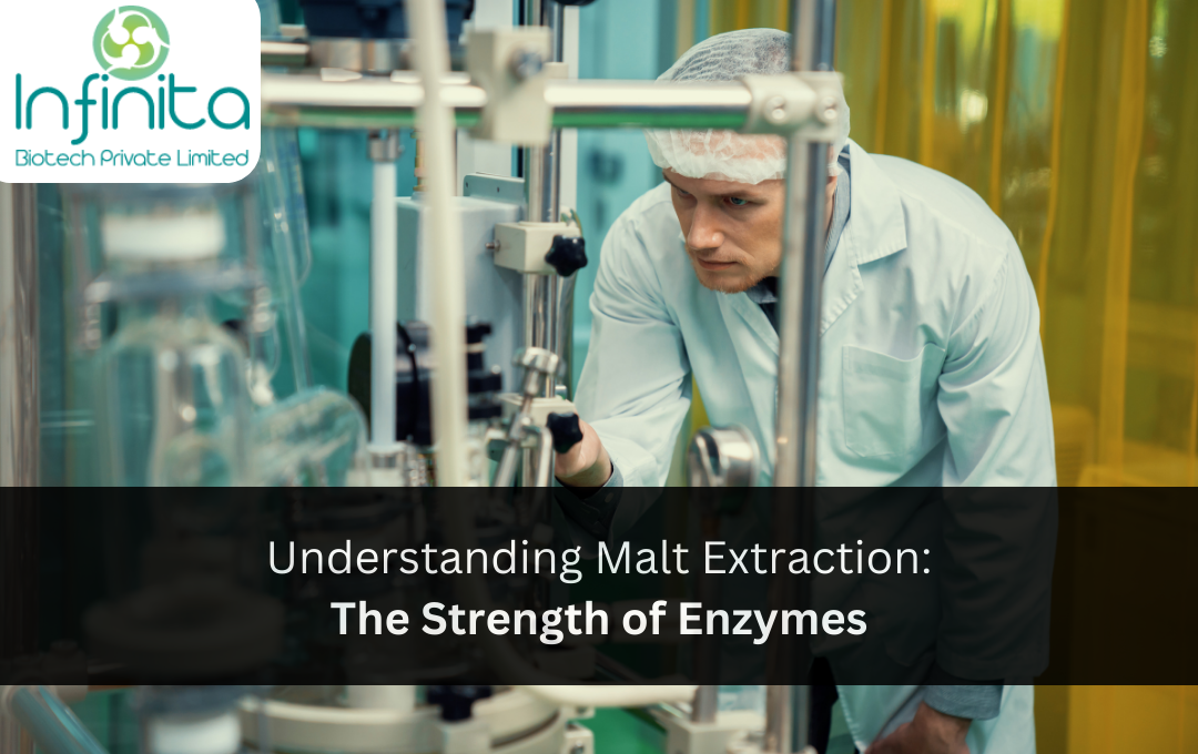 Understanding Malt Extraction: The Strength of Enzymes