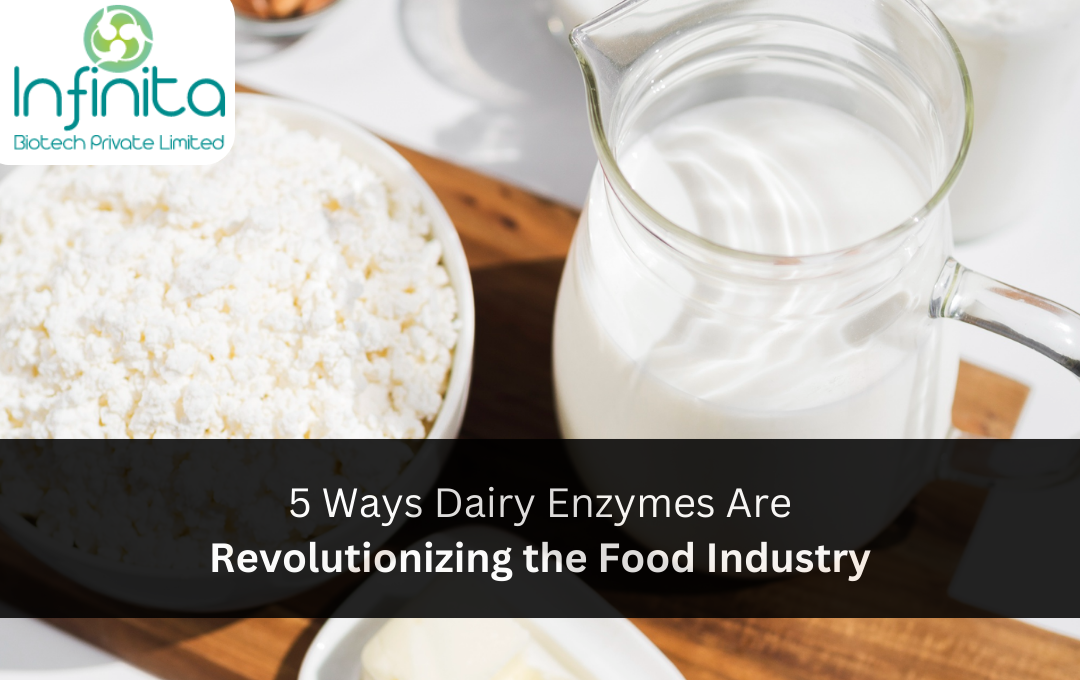 How Are Enzymes Used In The Food Industry | Infinita Biotech