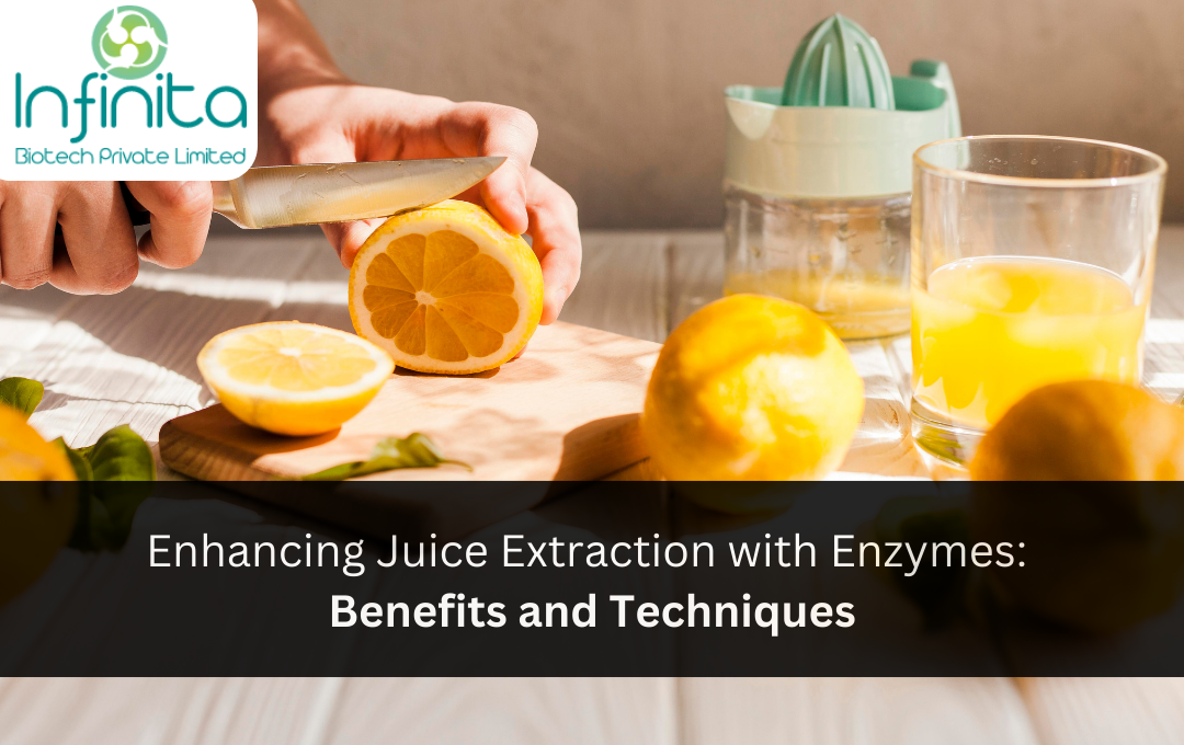 Juice Extraction with Enzymes: Benefits & Key Techniques