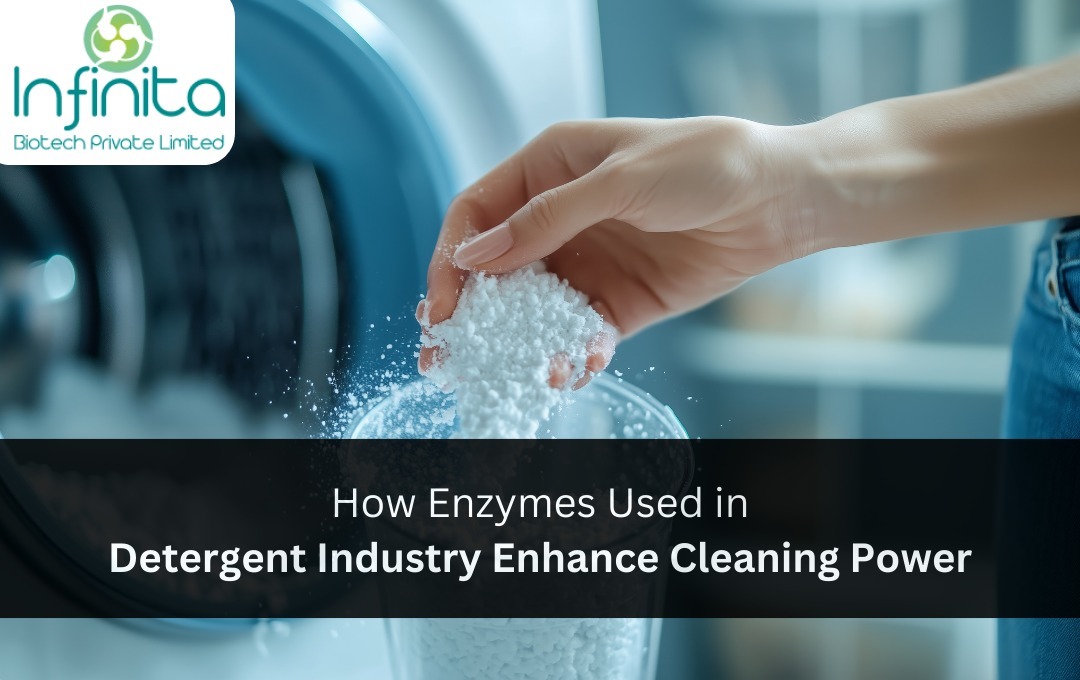 A Complete Overview of Detergent Enzymes | Infinita Biotech