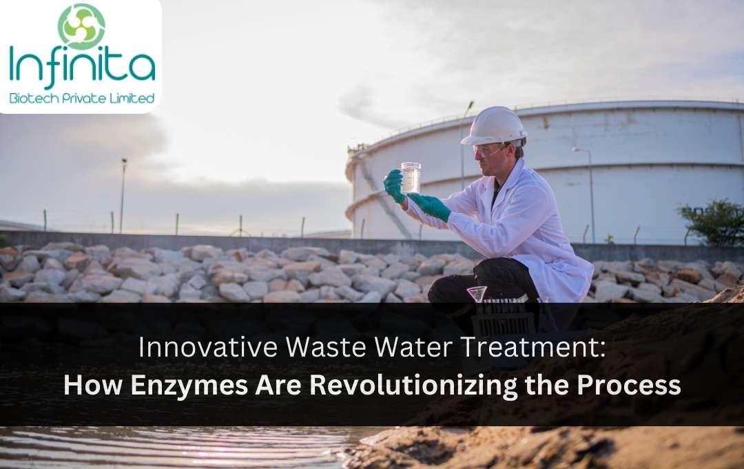 Innovative Waste Water Treatment with Enzymes